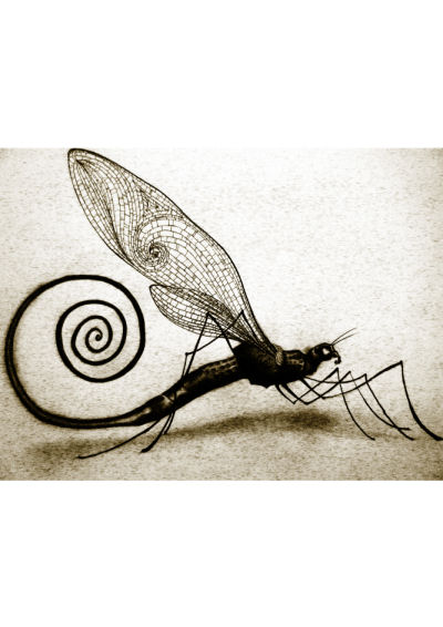 Cat Gavin: Illustration – Tales From The Forest